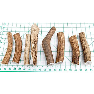 Big Dog Antler Chews - Extra Large 2-Pack Elk Antler Dog Chews, 6 Inches to 10 inches Long, for Medium to Large Dogs and Puppies