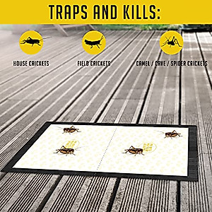 Cricket Traps Indoor (12 Traps) Extra Large Bug Sticky Traps - Non-Toxic Extra Sticky Glue Traps for Bugs - Pre-Baited Fruity Scent Crickets Bug Trap Indoor - Insect Glue Traps for Bugs - Trap a Pest