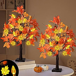 SURCVIO 2 Pack 24 Inch Prelit Fall Maple Tree Fall Decor with 48 LEDs Timer Battery Operated Pinecones Acorns Artificial Autumn Maple Tree for Thanksgiving Harvest Indoor Outdoor Home Decorations