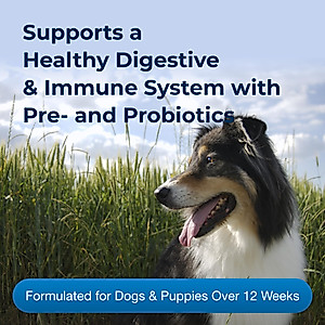 Pet-Ag Nutri-Mixer Digestive - 12 oz - Milk-Based Food Topper for Dogs & Puppies 12 Weeks and Older - Easy to Digest