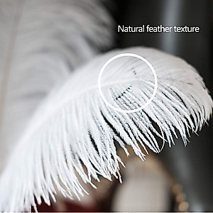 AWAYTR 10-12 inch (25-30cm) Natural Ostrich Feathers for Wedding Centerpieces Home Decoration,Flower Arrangement,DIY Christmas Decorations (10pcs,White)