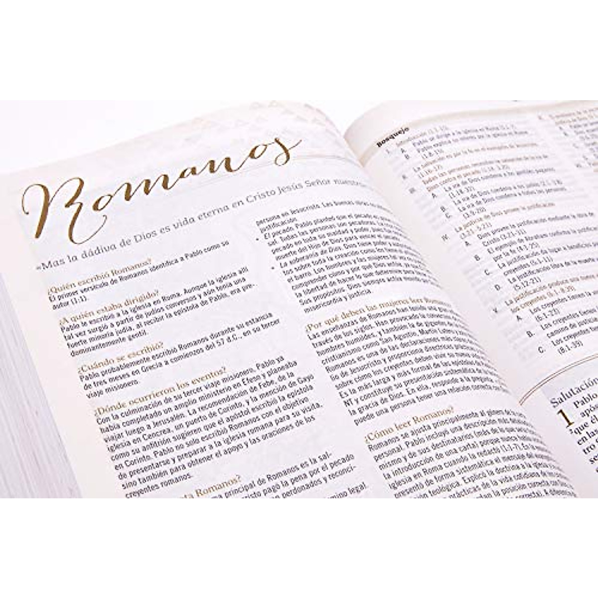 Biblia Reina Valera 1960 de Estudio para mujeres vino tinto-fucsia, símil piel | RVR 1960 Women Study Bible, Burgundy-Fuschia LeatherTouch (Spanish Edition)