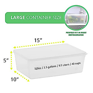 90% Chance of getting TWO for the price of ONE. 2.4 gal Produce Saver Containers for Refrigerator, Pizza Dough Proofing Box, Vegetable Storage Containers for Refrigerator, Pizza Storage Container, Marinating Container, Pizza Dough Box, Veggie Saver…
