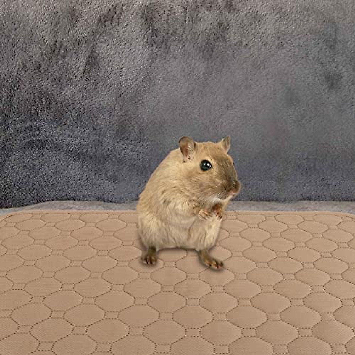 iplusmile Rabbit Household Super Diapers Pad Sleep Bunny Khaki Toilet Animals Guinea Accessory Cushion Cage for Liners Hamster Slip Cm Reusable Chinchilla Pet Pee Accessories