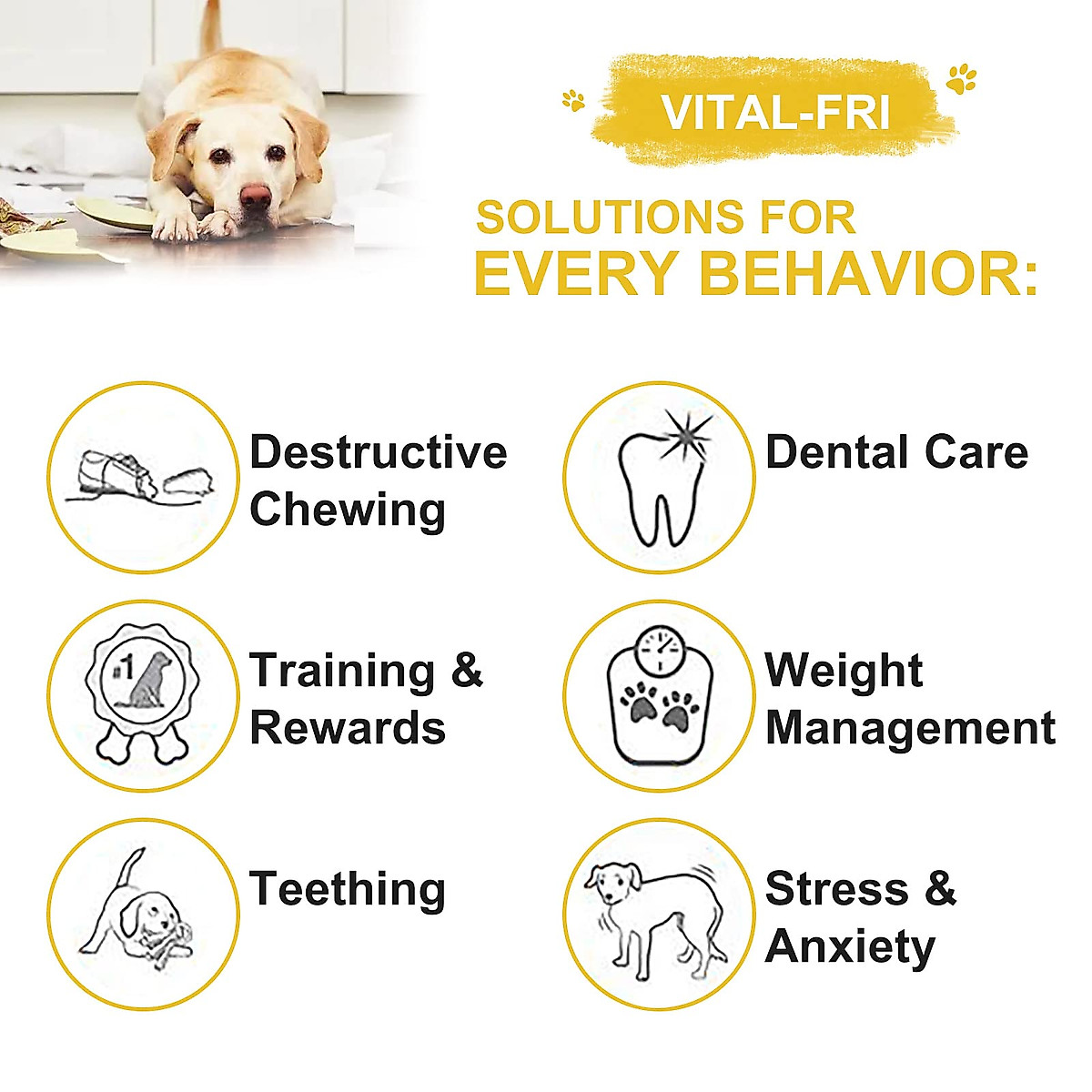 VITAL-FRI Donut Dog Chew Toy - Flavorful, Durable Rubber for Aggressive Chewers - Tough & Long-Lasting Puppy Toy for Small, Medium, Large Dogs - Promotes Dental Health