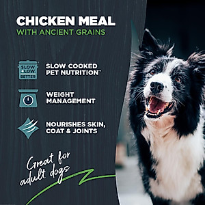 Blackwood Lean/Senior Dry Dog Food, Chicken Meal with Ancient Grains, 4.5 Pound Bag for Weight Management and Muscle Mass Maintenance