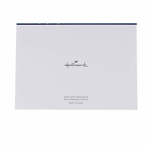 Hallmark Thank You Cards (Silver Foil Script, 40 Thank You Notes and Envelopes)