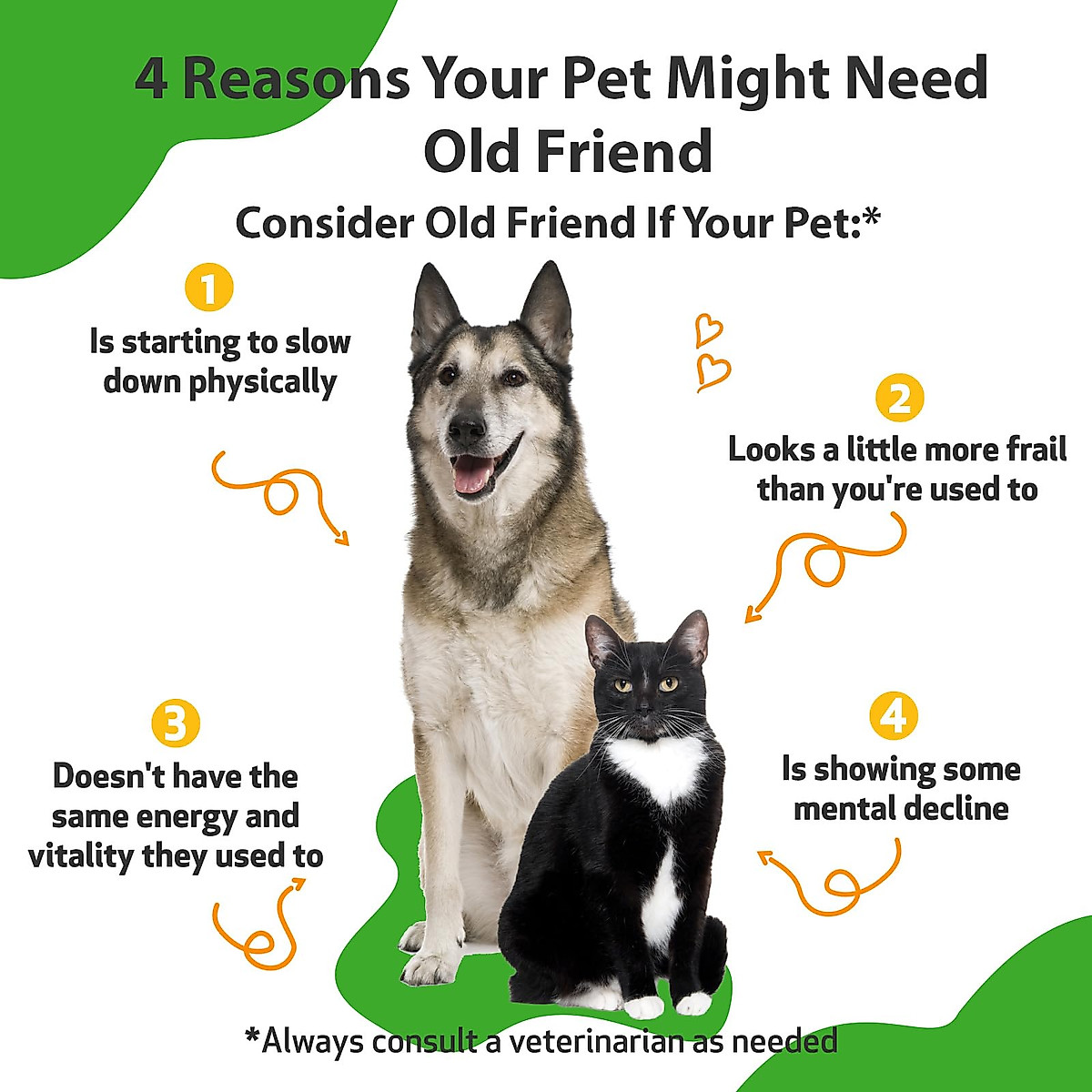Pet Wellbeing Old Friend for Senior Dogs & Cats - Vet-Formulated - Aging Immune System & Joint Mobility Support in Older Pets - Natural Herbal Supplement 4 oz (118 ml)