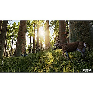 Hunting Simulator - PlayStation 4