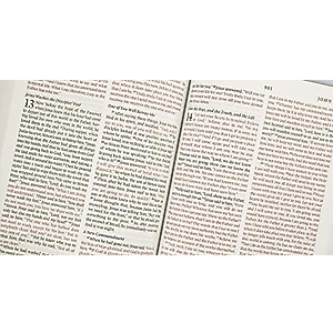 ESV Thinline Bible (TruTone, Royal Lion)