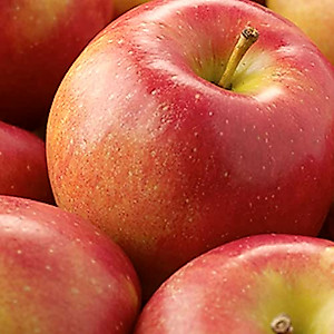 Golden State Fruit Cheese Fruit & Nuts Gift Box