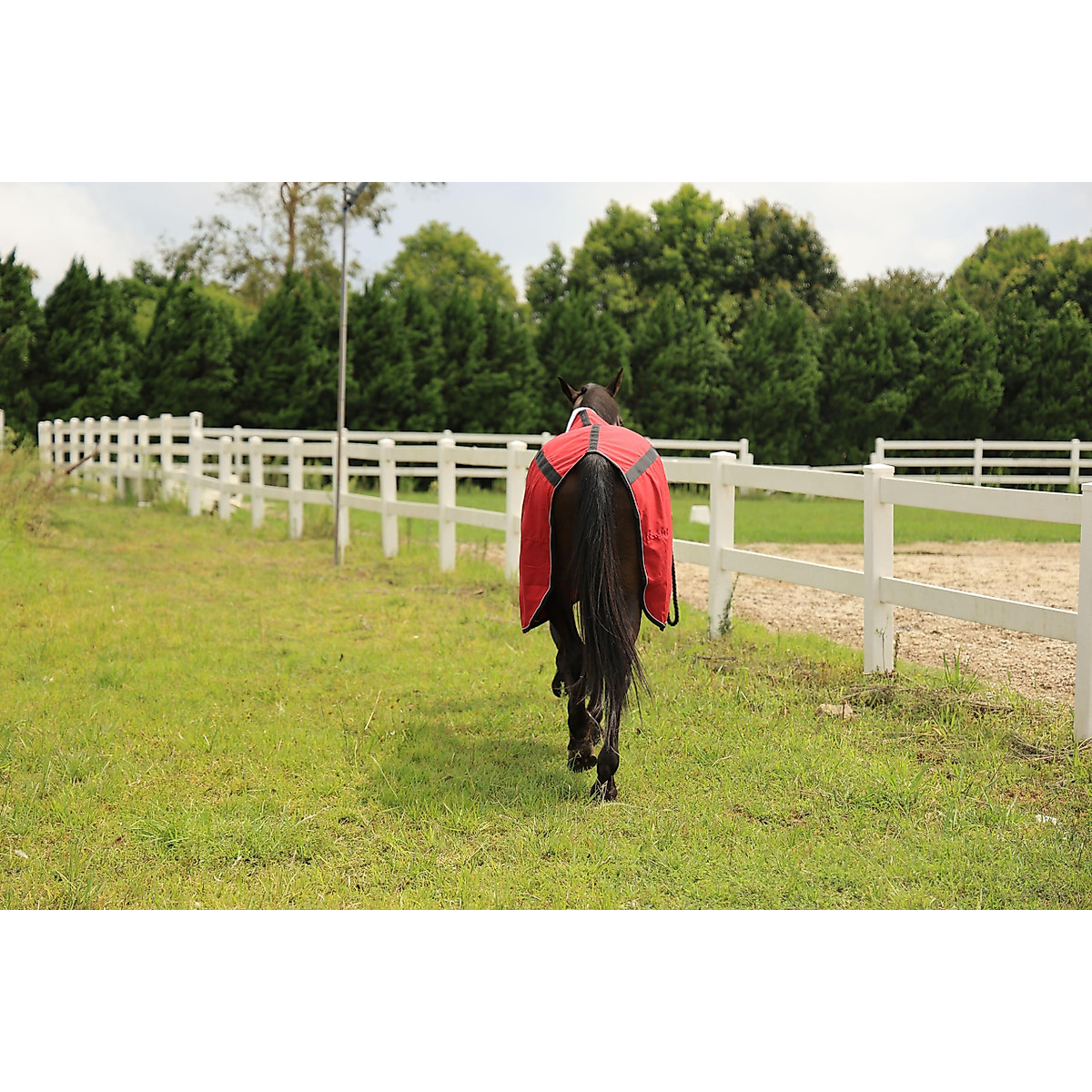 T TEKE Deluxe Horse Canvas Sheet for Snug and Clean in Stable, or as a Blanket Liner. (Size Range 51"-87" Including Mini Horse)