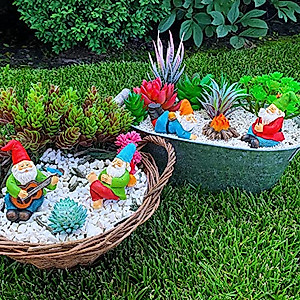 Mood Lab Miniature Garden Gnomes - Camping Gnome Kit of 5 pcs - Figurines & Accessories Set - Outdoor or House Decor
