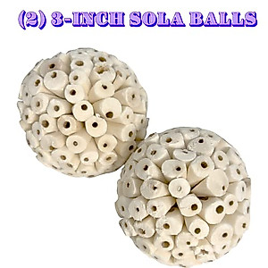 Mandarin Bird Toys 5156 Chunky Sola Platter by M&M - Natural Air Dried Sola Plant Toys, Balls, Sticks, Sola Oyster Slicers, Wonderful Chewing for Beaks, Excellent for Medium Size Pets Lightweight