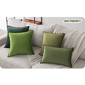 NOSTHEART Decorative Throw Pillow Covers Cushion Cases, 16x16 Inch Set of 4 Luxury Soft Velvet Square Couch Pillow Covers for Sofa Bedroom Car Home Decor