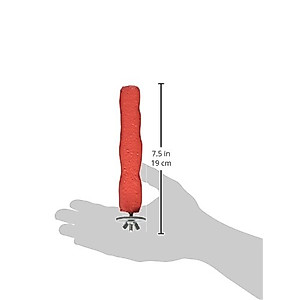 Small Patented Safety Pumice Perch (Colors may vary)