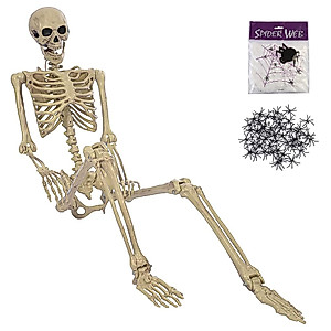 HBSTK 5.5Ft/65 Inches /165cm Pose-N-Stay Halloween Skeleton Life Size Full Body Posable Movable Jonints with 200sqft Strech Cobweb and 50 Small Fake Spiders for Halloween Decoration Decor