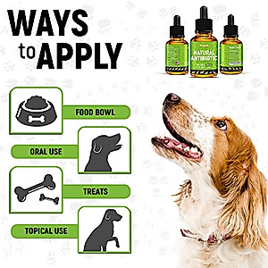 GoldenPaw Herbal Pet Supplement for Cat