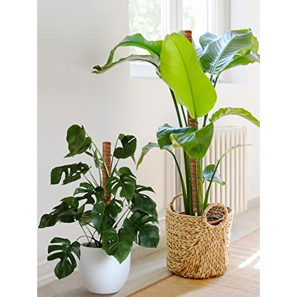 68'' Total Moss Monstera Pole Plants Support for Indoor Climbing Plants- Stable Stackable Coco Coir Stakes for Potted Plants, Easy to Use (6 Pack)