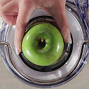 Breville Juice Fountain Cold Plus Juicer, BJE530, Brushed Stainless Steel