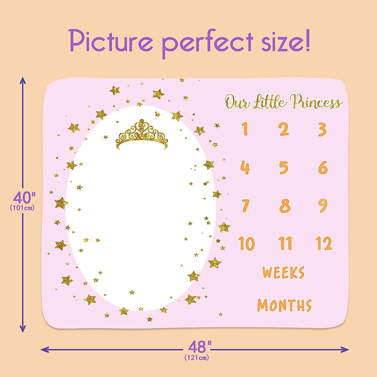 PHMOJEN Monthly Milestone Blanket for Baby Girl, 48"x40" Soft Flannel Pink Princess Memory Growth Blanket, Photography Backdrop Prop for Newborn Baby Shower, 1 to 12 Months Include Marks BTLSPH819