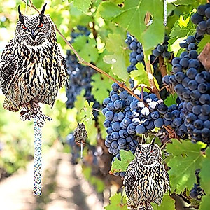 Kungfu Mall 4Pcs Bird Scare Reflective Hanging Decoration, Effective Bird Control Device with Reflective Tape to Keep Birds Away for Garden Patio Windows Tree