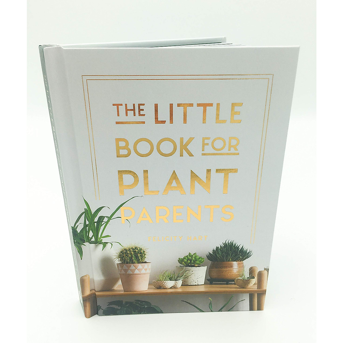 The Little Book for Plant Parents: Simple Tips to Help You Grow Your Own Urban Jungle