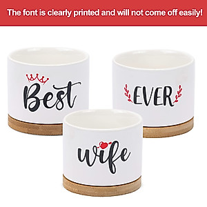 Whonline Birthday Gifts for Wife from Husband Unique, Succulent Pots Planter Gifts for Women Mothers Day Anniversary, Romantic Best Wife Ever Gifts for Any Occasion, Arrive Beautifully Gift Boxed