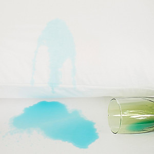 Protect-A-Bed, AllerZip Pillow Protector, Zippered, Waterproof, 2-pack, Standard Size