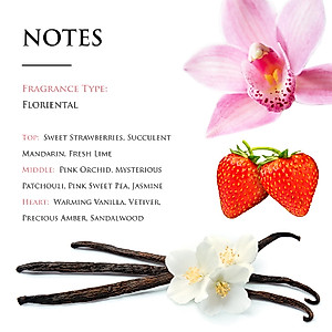 Michel Germain Sexual Noir Eau de Parfum Fragrance Spray, Top Notes of Strawberries, Mandarin and Lime, Long-Lasting, Warm Floral & Sensual Gift for Her, 4.2 Fl Oz