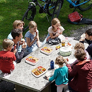 BRIGENIUS Bento Box for Adults, Lunch Box, BPA Free, Made from Degradable Cereal Fiber, Can Use Safety in Microwave, Dishwasher (Has Fork and Spoon)