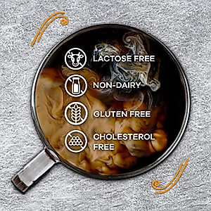 COFFEE MATE Hazelnut Liquid Coffee Creamer 24 ct Box