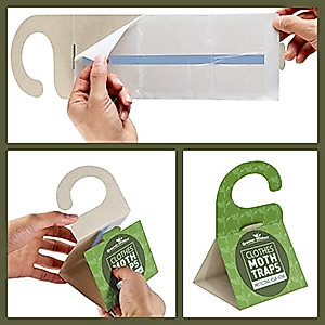 Greener Mindset Clothes Moth Traps 7-Pack - Capture Clothing Closets, Carpets & Wool - Webbing & Case-Bearing