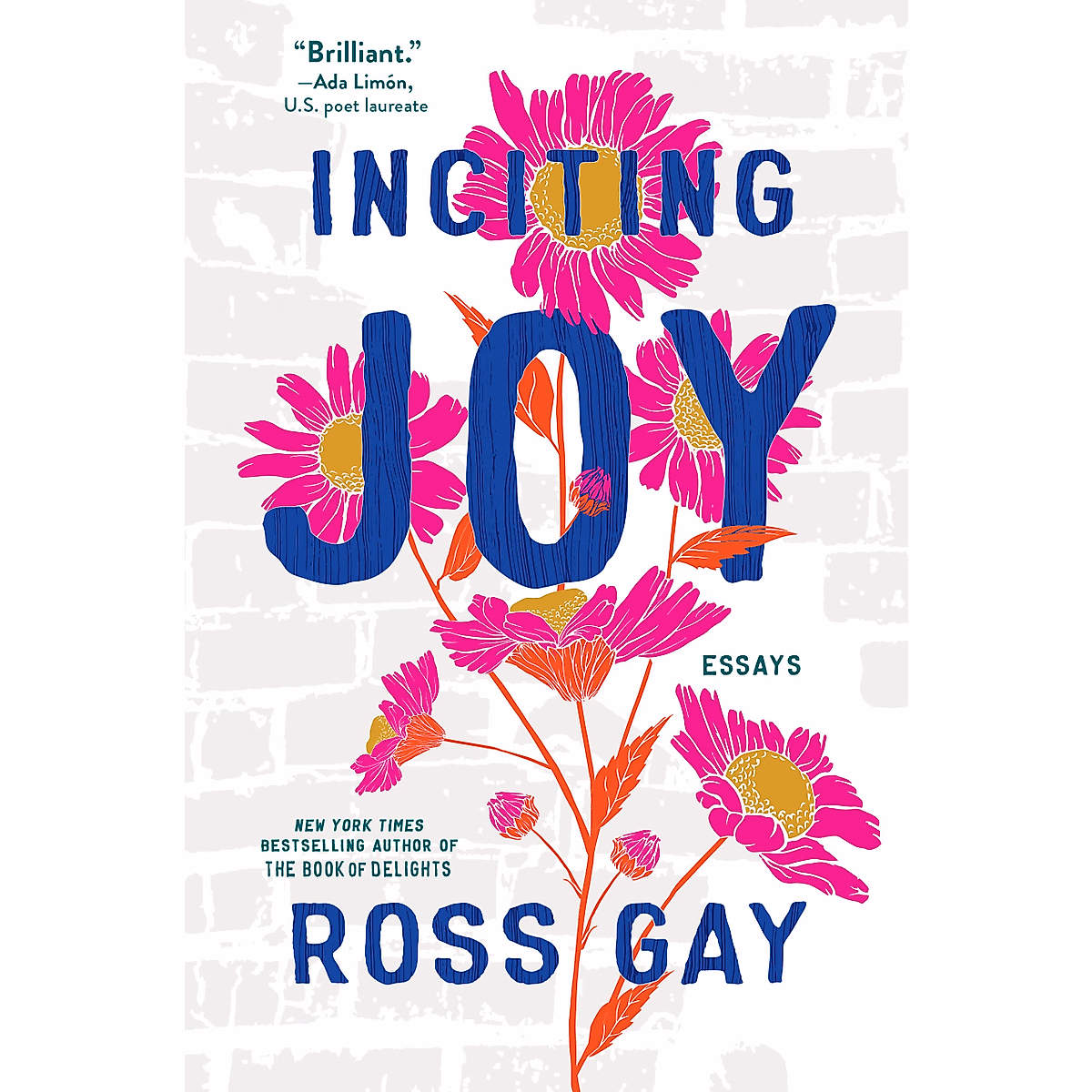 Inciting Joy: Essays