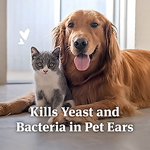 PetArmor Ear Rinse for Dogs & Cats, 4 oz