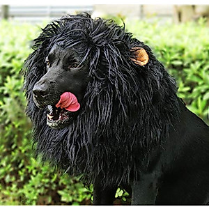 Onmygogo Lion Mane Wig for Dogs with Ears, Funny Pet Costumes for Halloween Christmas (Size L, Black)