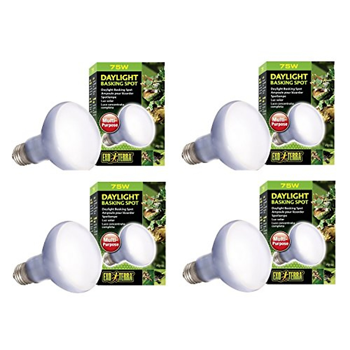 Exo Terra Sun-Glo Basking Spot Lamp, 75-Watt/120-Volt (4 Pack)