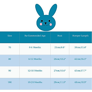 HIFINO Easter Outfit for Baby Girl One-Piece Jumpsuit with Bunny Ears HatMy First Easter Baby Girl Outfit Gift Ruffles Romper Outfits Clothes 9-12 Months