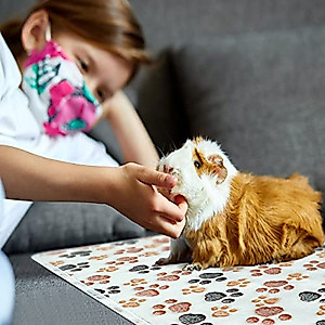 YUEPET Waterproof Guinea Pig Blankets Washable 3 Pack Small Animal Fleece Cage Liners Pet Soft Sleep Mat Pad Cover Warm Flannel Throw for Hamster Guinea Pig Rabbit Chinchilla Hedgehog Ferret 23"×16"