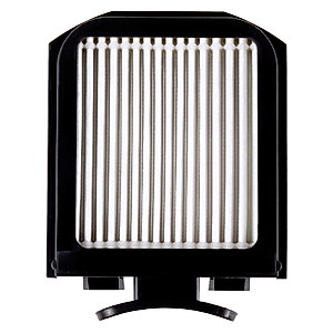 Raycop LITE (RE-100) HEPA Filter - 2 Pack