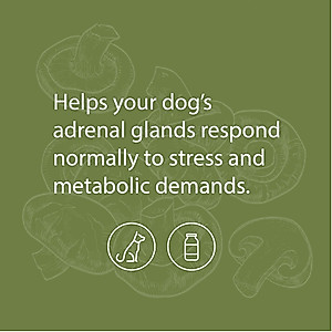 Standard Process Canine Adrenal Support - Canine Support Supplement for Adrenal Health - Nutritional Supplement for Liver & Kidney Support - Powder Dog Supplement Formula to Aid Adrenal Glands - 25 g