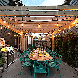 8 Pack Tree Branch Hook 12 Inche Black Bird Feeder Hook Rustproof Stainless Steel Hooks Bird Feeder Hook for Tree Garden Hook S Hooks for Hanging Bird Feeders, Bird House, Plants, Baskets, Lanterns