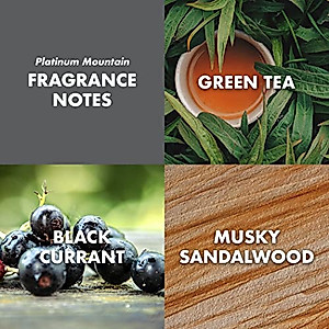 Fragrance Inspired by Silver Mountain Water Men's Cologne | Almost an Exact Clone | 1.7oz Eau de Parfum | Robust Masculine Crisp Clean Scent with a Woodsy Backbone | Unisex Fragrance is Addictive!