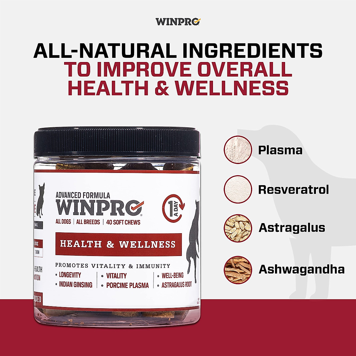 WINPRO Pet Health & Wellness Chews for Dogs, 40 Soft Chews, Plasma Powered, Grain Free Supplement for Dogs Providing Vitality and Immunity Support