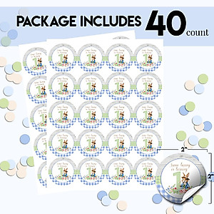 Little Rabbit First Birthday Thank You Sticker Labels for Boy, 40 2" Party Circle Stickers by AmandaCreation, Great for Party Favors, Envelope Seals & Goodie Bags