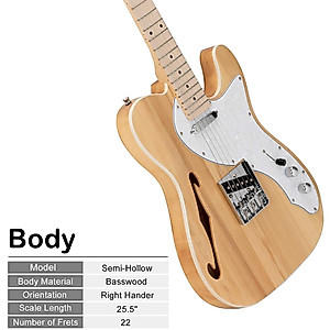 Bysesion Semi-Hollow Electric Guitar F Hole SS Pickups Maple Fingerboard White Pearl Pickguard Log Color