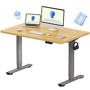 FLEXISPOT EN1 One-Piece Height Adjustable Desk 48 x 30 inch Electric Standing Desk, Stand Up Desk for Home Office (Silver Frame + 48" Natural Top, 2 Packages)