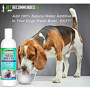 Vet Recommended Dog Breath Freshener Water Additive for Pet Dental Care - All Natural - Works to Solve The Cause of Bad Dog Breath. Add to Pet's Drinking Water - Made in USA (16oz/473ml)