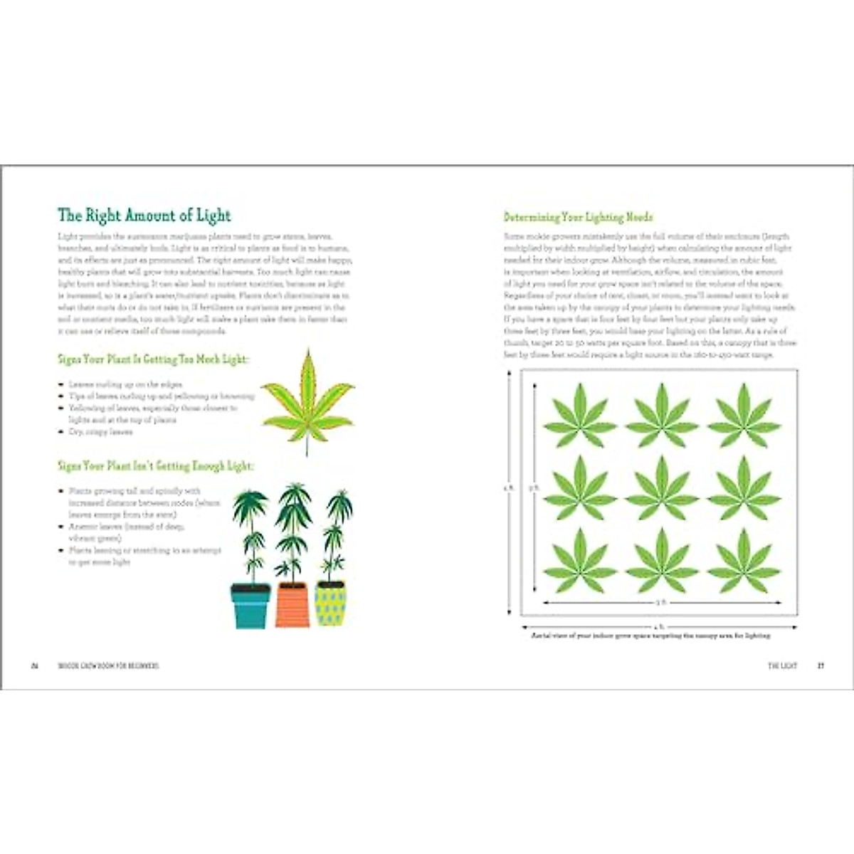 Indoor Grow Room for Beginners: A Step-By-Step Guide to Growing Marijuana