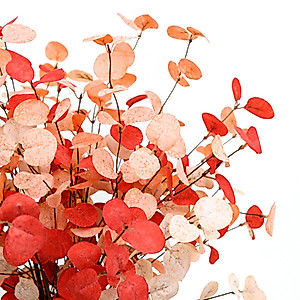 YIGHAI 6PC Fall Fake Eucalyptus Stems 24" Faux Silk Silver Dollar Leaves Branches Autumn Decor Artificial Plants Stems for Festival Thanksgiving Home Office Table Vase Decor